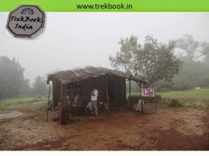 Amboli waterfall & Misty reverse waterfall at Kavlesad [Monsoon trip]